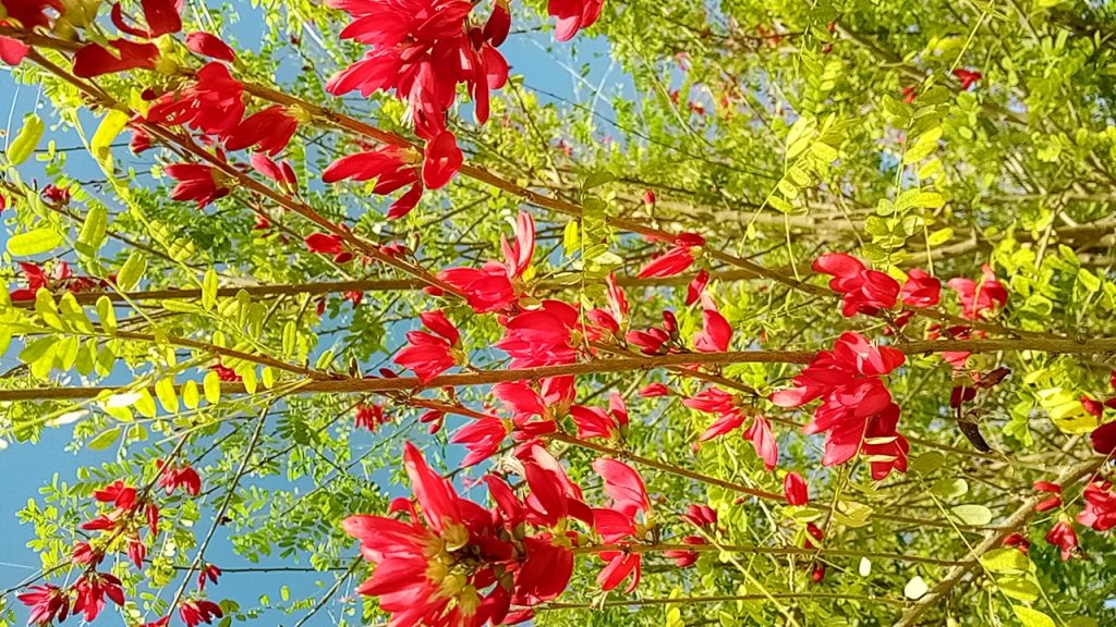 Index of /wp-content/uploads/2022/03